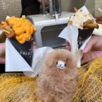 Private Day Trip Brussels from Paris with Chocolate/Beer Tasting - The Itinerary: A Deep Dive