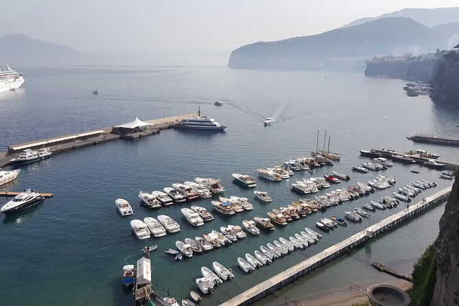 Private Day Trip from Rome to Amalfi Coast and Ruins of Pompeii - Key Points