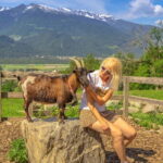 Private day trip from Zurich to Heidiland and Vaduz - Detailed Breakdown of the Itinerary