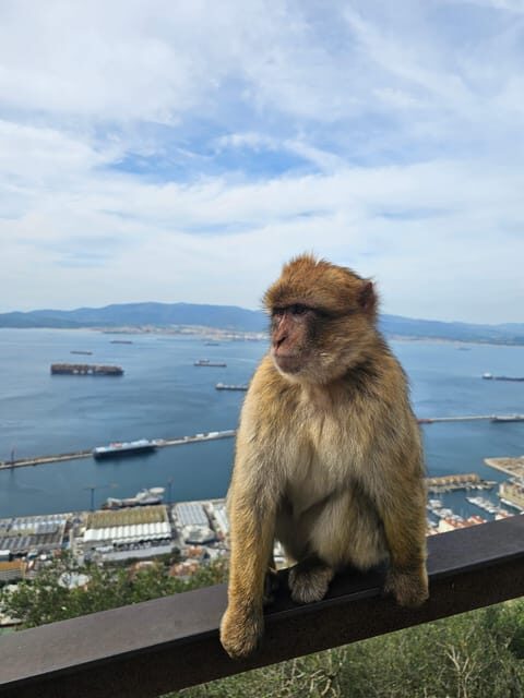 Private Day Trip: Gibraltar & (Tangier) Morocco from Seville - Authentic Experiences & Reviews