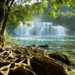 Private Day Trip to Krka National Park from Sibenik - An In-Depth Look at the Krka National Park Private Day Trip