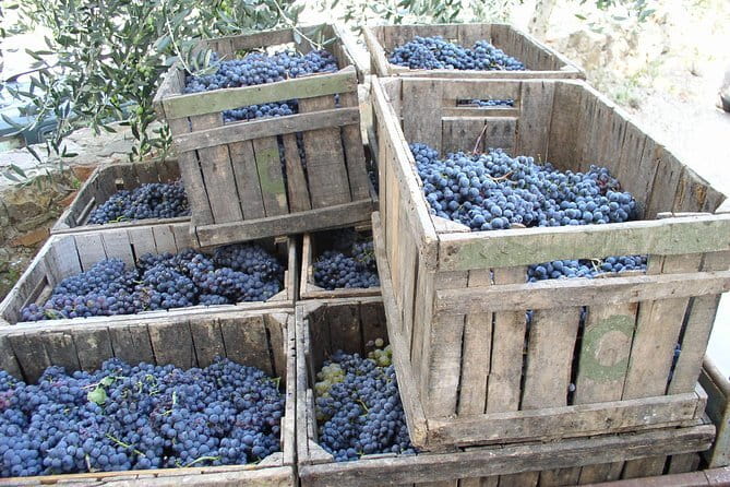 Private Day Trip to Montalcino and Montepulciano from Florence - An In-Depth Look at the Itinerary