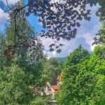 Private Day Trip to Peles Palace, Dracula's Castle and Brasov - The Tour Breakdown: What You Can Expect