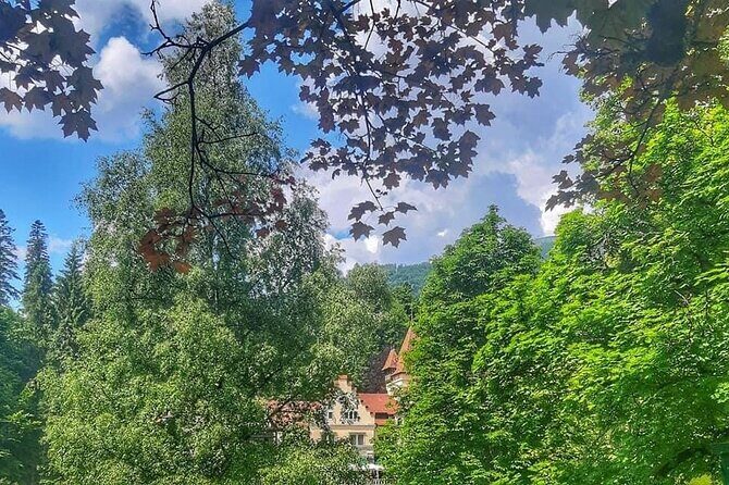 Private Day Trip to Peles Palace, Dracula's Castle and Brasov - The Tour Breakdown: What You Can Expect