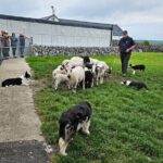 Private Day Trip to the Cliffs of Moher from Dublin - The Showstopper: Cliffs of Moher Visitor Centre
