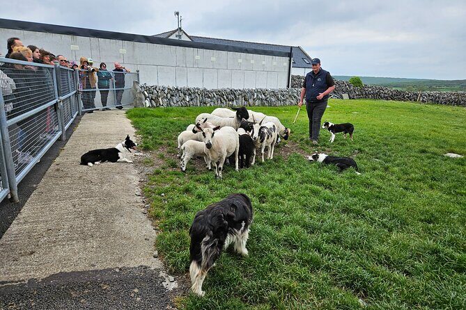 Private Day Trip to the Cliffs of Moher from Dublin - The Showstopper: Cliffs of Moher Visitor Centre