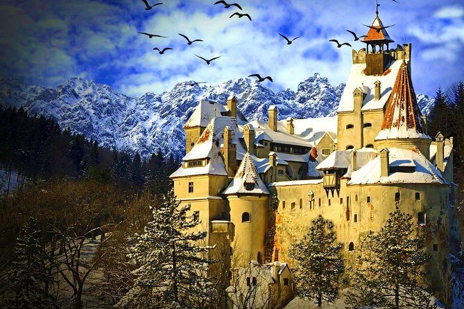 Private Day Trip to Transylvania: Dracula, Sinaia & Brasov (from Bucharest) - Authentic Experiences and Local Insights
