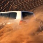 Private Desert Safari Tour in Dubai - Who Will Love This Tour?