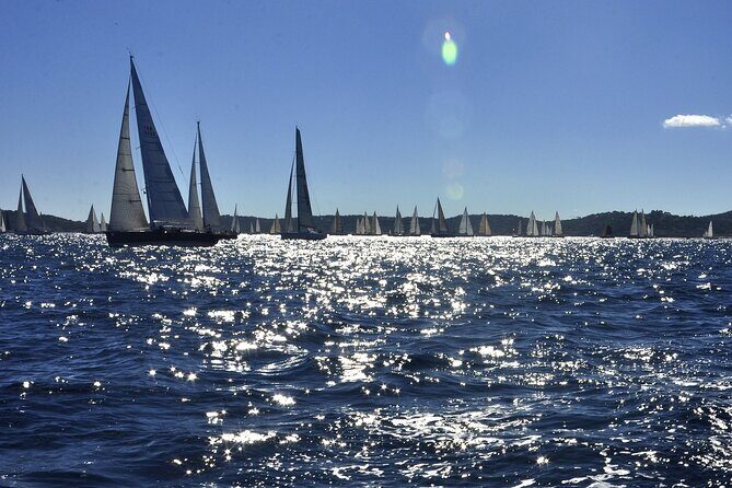 Private Direct Transfer from Nice to Saint Tropez - What travelers love (and what they don’t)