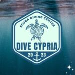 Private Discovery Scuba Diving with Sea Turtles - Why the Reviews Confirm This Experiences Value