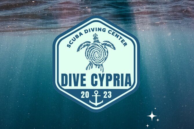 Private Discovery Scuba Diving with Sea Turtles - Why the Reviews Confirm This Experiences Value
