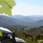 Private Douro Valley 4WD Tour with Wine Tasting and Picnic - The Itinerary: A Closer Look