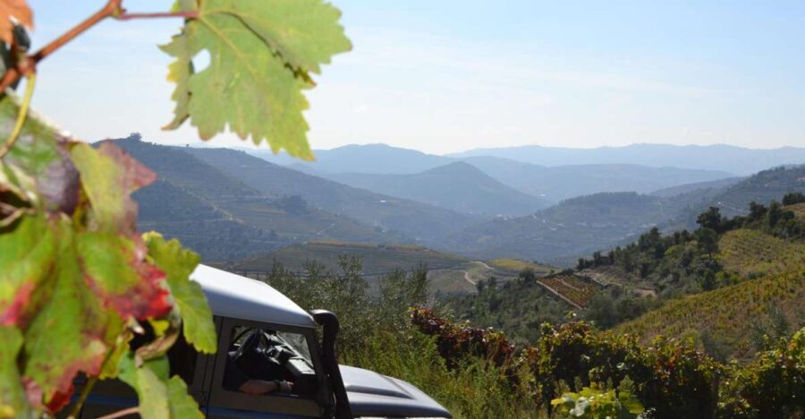 Private Douro Valley 4WD Tour with Wine Tasting and Picnic - The Itinerary: A Closer Look