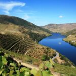 Private Douro Valley visit to three vineyards with Lunch from Porto - Frequently Asked Questions