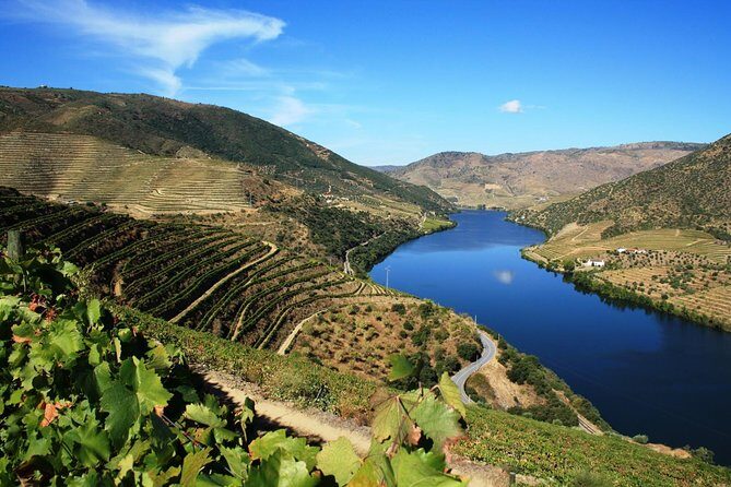 Private Douro Valley visit to three vineyards with Lunch from Porto - Frequently Asked Questions