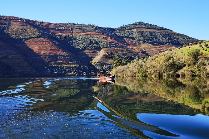 Private Douro Valley Wine Tour + Lunch and Boat Cruise - Discover the Beauty of Portugal’s Douro Valley Through a Thoughtfully Curated Experience