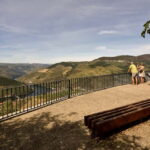 Private Douro Wine Experience - Full Day in the Douro Valley - Who Will Love This Tour?