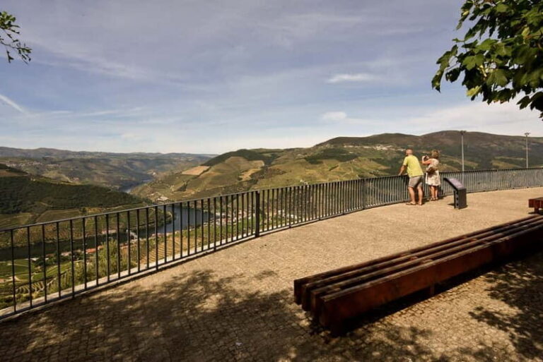 Private Douro Wine Experience - Full Day in the Douro Valley - Who Will Love This Tour?