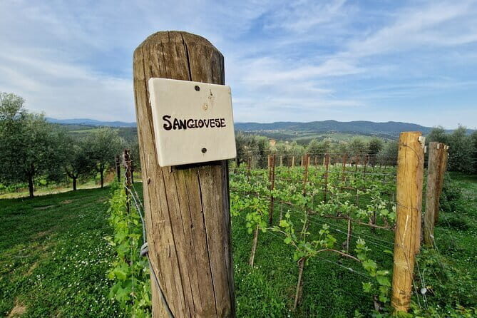 Private driver Florence Wine Tour countryside of Tuscany 7 hours - What Makes This Tour Special?