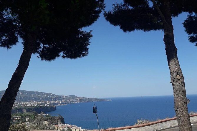 Private Driver VIP Tour of Sorrento & its food delicacies - What Does the Tour Include and Why It Matters