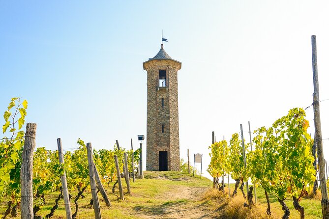 Private E-bike Tour "Monferrato di Canelli" - Asphalt only - Introduction