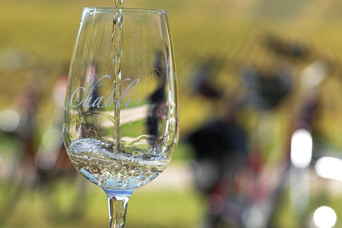Private e-bike tour with a guide in the Vineyards of Chablis - Key Points