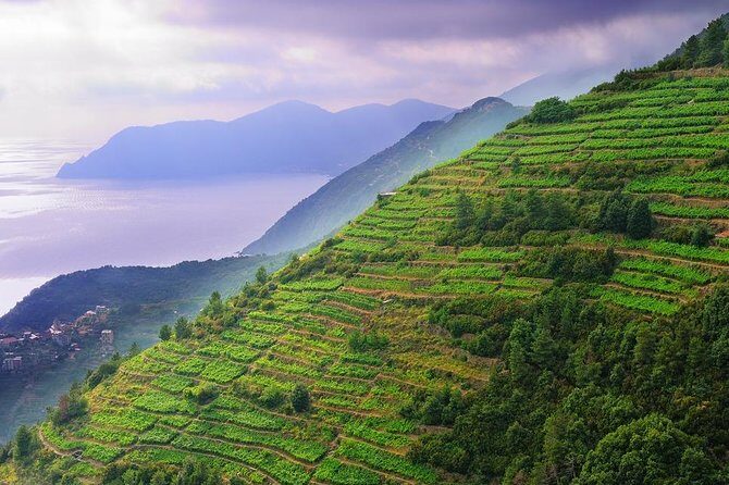 Private EASY Cinque Terre Accessible Tour from Livorno - The Ride and the Experience
