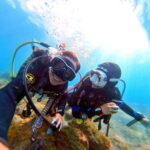 Private Eco Scuba Diving in Tenerife: no crowds and no rush - Practical Details: What You Need to Know