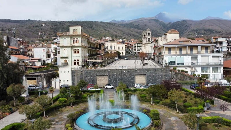 Private Etna panoramic tour+Wine tasting & food combination - Transport and Comfort