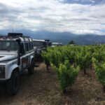 Private Exclusive Manousakis Winery and Vineyard Tour - A Deep Dive Into the Experience