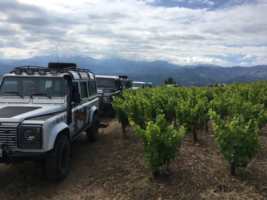 Private Exclusive Manousakis Winery and Vineyard Tour - A Deep Dive Into the Experience
