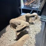 Private excursion to Pompeii and to Vesuvius - Itinerary Breakdown: What You Can Expect