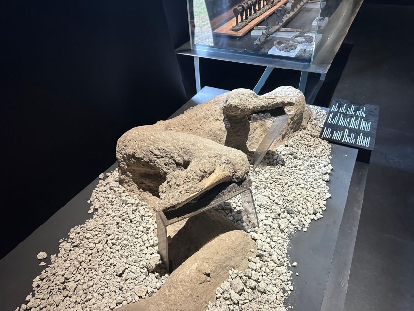 Private excursion to Pompeii and to Vesuvius - Itinerary Breakdown: What You Can Expect