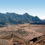 Private excursions for cruise-ship passengers - What the Reviews Say