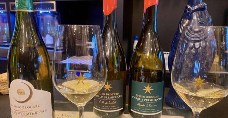 Private Exquisite Red & White Burgundy Wines Trip from Paris - Analyzing the Value and Experience