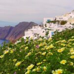 Private Famous Sights Tour with Local Guide in Santorini - What’s Included and What’s Not