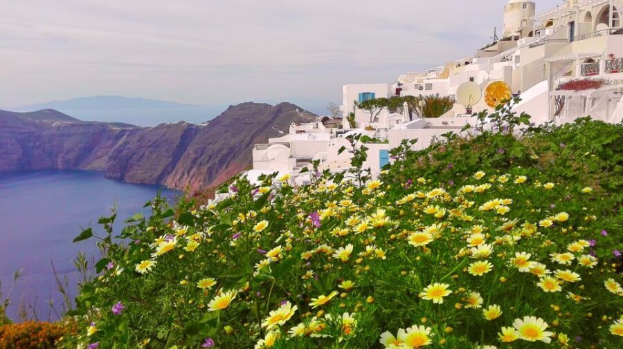 Private Famous Sights Tour with Local Guide in Santorini - What’s Included and What’s Not