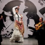 Private flamenco show in the center of Seville (Max 30 pax) - The Authenticity and Atmosphere