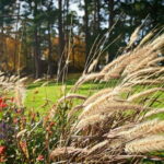 Private Forest Mind Tour in Tampere - Practical Details and Tips