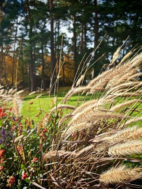 Private Forest Mind Tour in Tampere - Practical Details and Tips