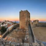 Private Full Day Évora, Monsaraz, and Winery Day Trip - The Vineyard Experience: From Grape to Glass