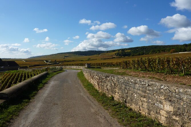 Private Full Day Tour Burgundy Gourmet - An Authentic Burgundy Food Experience for Curious Foodies