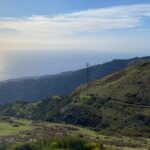 Private Full Day Tour in Madeira - What Travelers Say: Authentic Perspectives