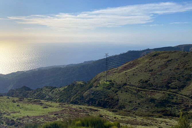 Private Full Day Tour in Madeira - What Travelers Say: Authentic Perspectives