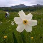 Private Full-Day Tour in Moraca and Tara Canyons, Durmitor & Biogradska Gora NP - The Authentic Montenegrin Experience: Authenticity, Scenery, and Service