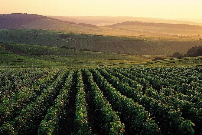 Private Full-Day Tour of Champagne Region - Is this tour worth the cost?