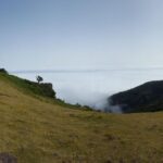 Private Full-Day Tour of North Coast and Laurissilva Forest - Into the Heart of Nature