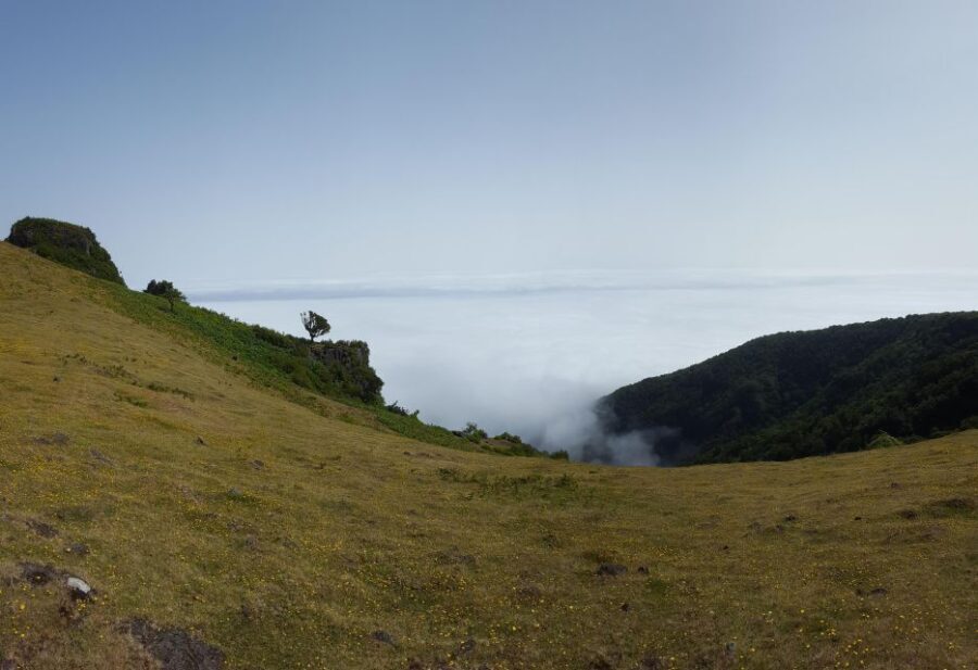 Private Full-Day Tour of North Coast and Laurissilva Forest - Into the Heart of Nature