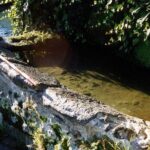 Private Full Day Tour to Morgan Port and Natural Inagua Reserve w/ Hotel pick-up - Who Should Consider This Tour?