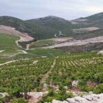 Private Full - Day Tour: Wine Tasting Tour to Peljesac - What to Expect on the Day
